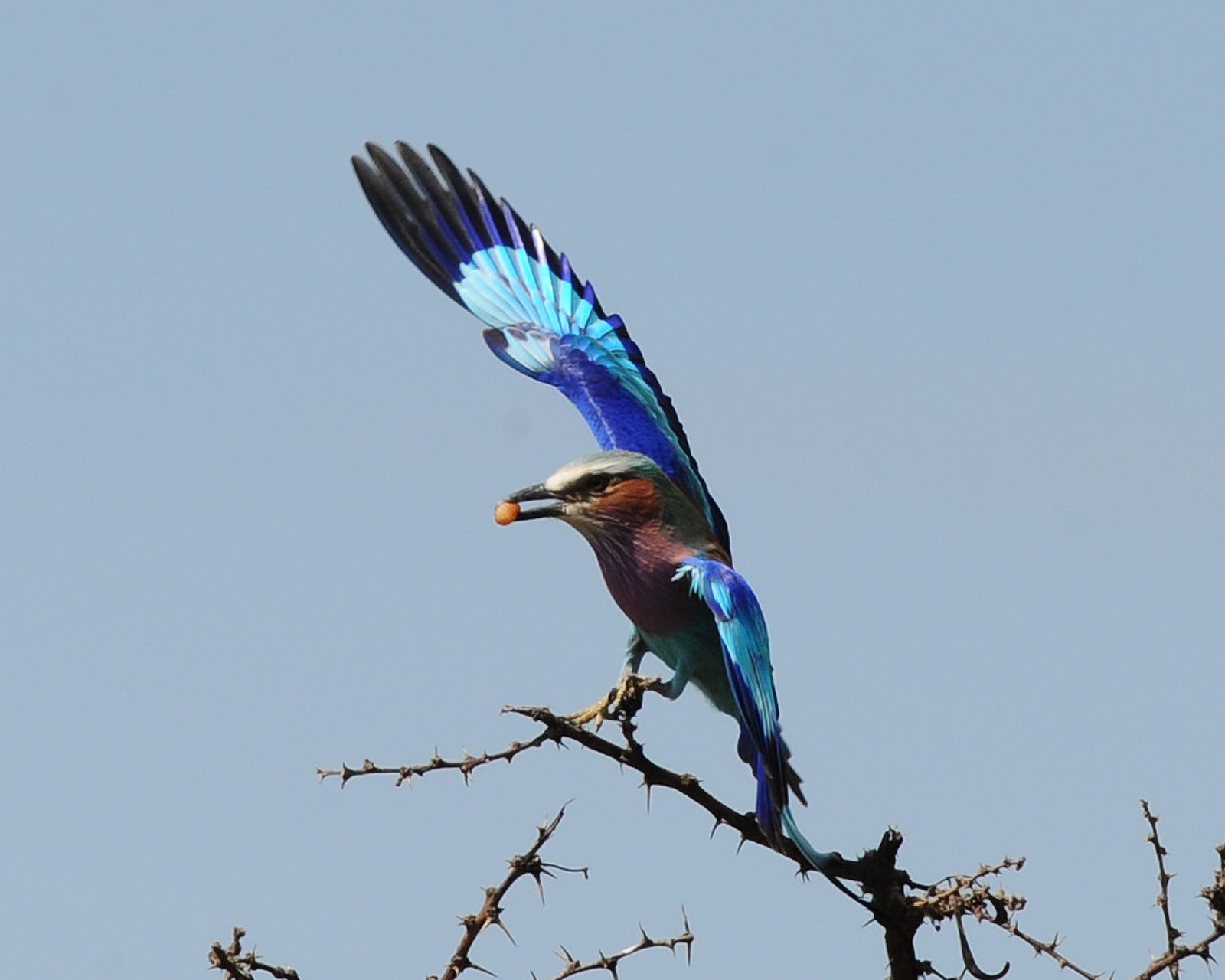 肯亞 Kenya | Unique Spot Photographic Travel
