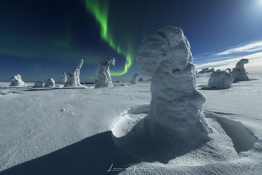 芬蘭 Lapland | Unique Spot Photographic Travel Limited