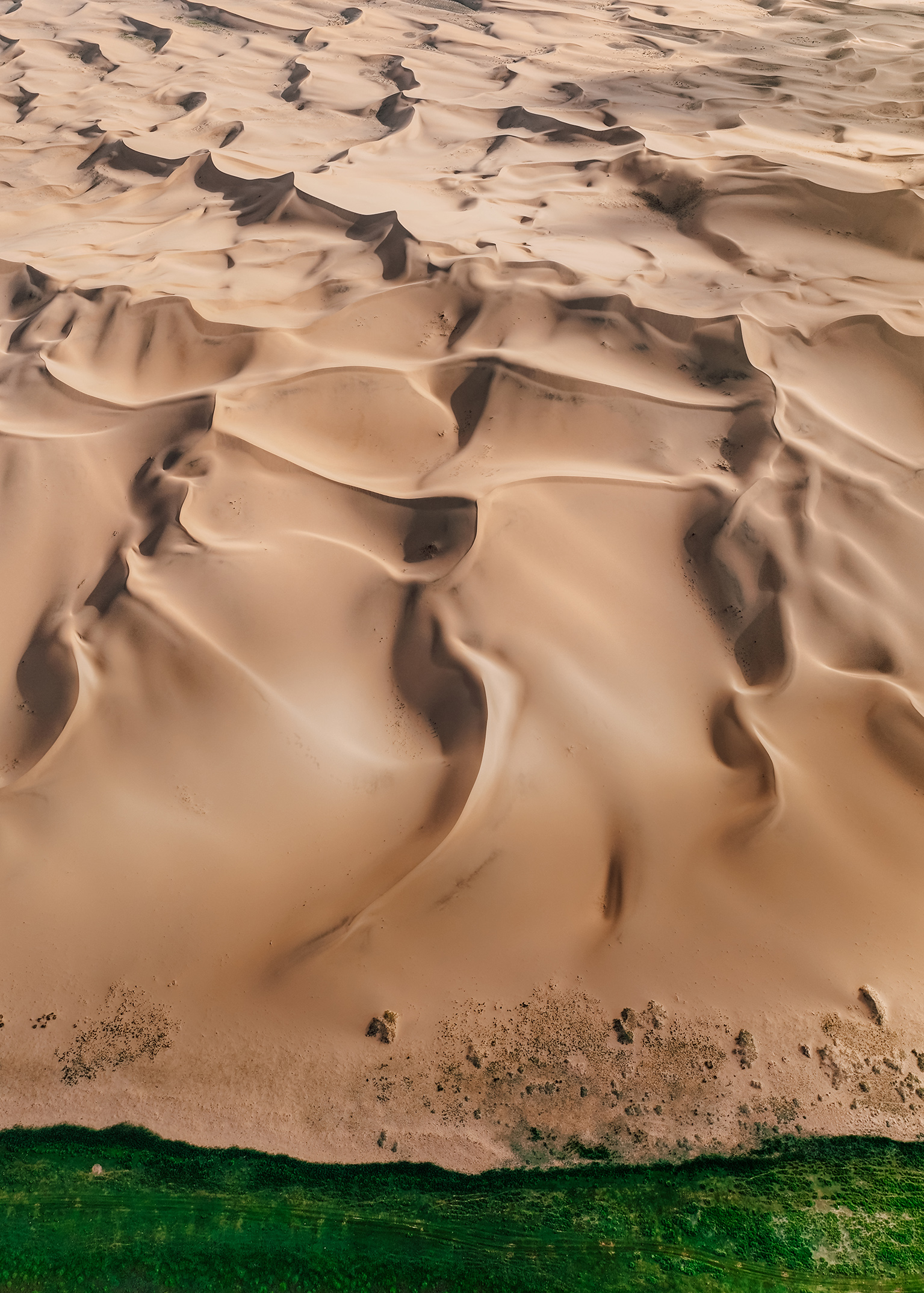 蒙古 Mongolia | Unique Spot Photographic Travel